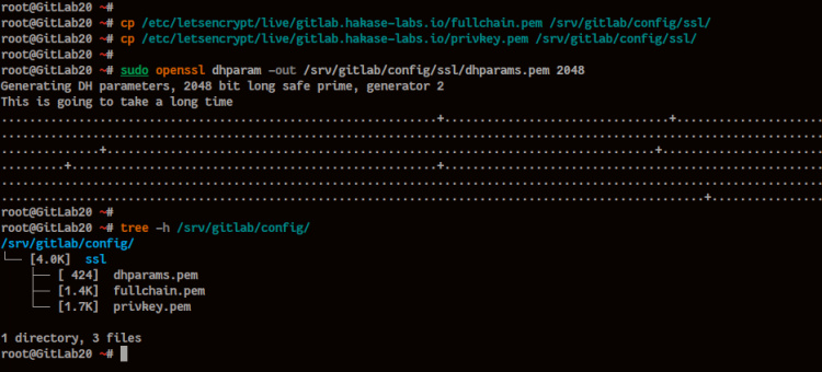 Cómo instalar GitLab con Docker en Ubuntu 20.04 LTS – HowtoForge
