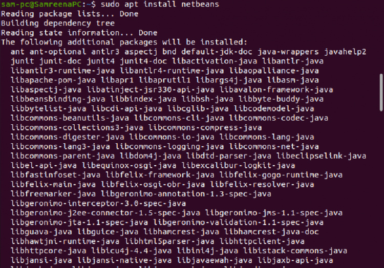 Cómo instalar NetBeans IDE en Ubuntu 20.04 – HowtoForge
