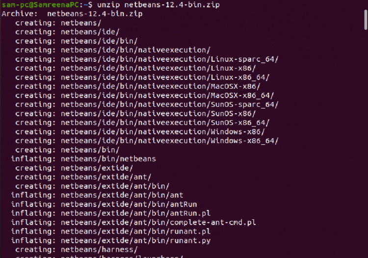Cómo instalar NetBeans IDE en Ubuntu 20.04 – HowtoForge