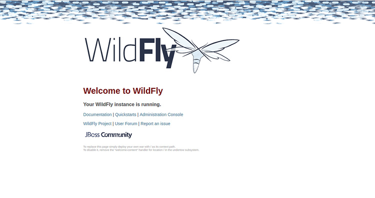 Cómo instalar WildFly con Nginx como proxy inverso en Debian 10 – HowtoForge