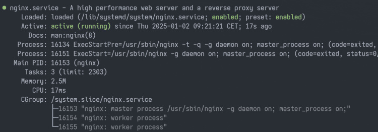 Cómo instalar Zabbix en un servidor Debian 12 – HowtoForge