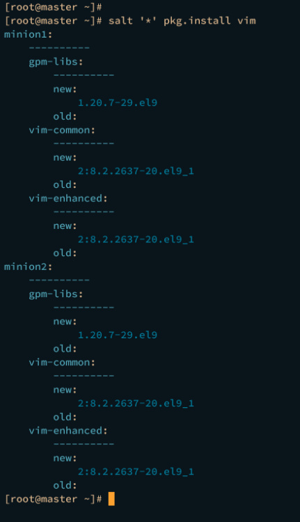 Introducción A Salt It Automation Framework En Almalinux 9 Howtoforge